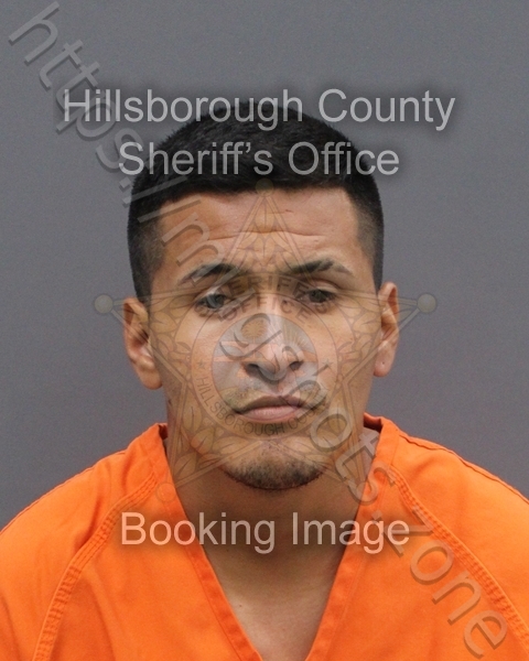 JIMENEZ MEZZAROH JOAQUIN ALBE 06/07/2026 - Hillsborough County Mugshots ...