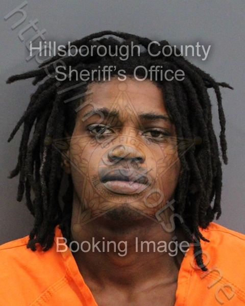 ACKON JEREMIAH MYKEL 06/08/2026 - Hillsborough County Mugshots Zone