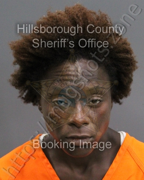 IGLES FRANCEIDA DELORES 06/08/2026 - Hillsborough County Mugshots Zone