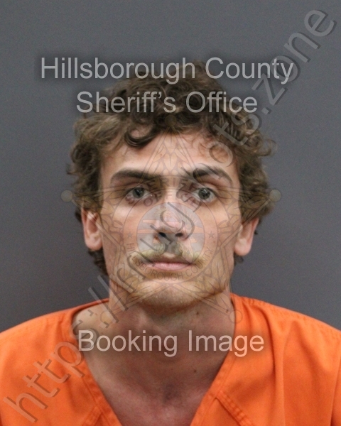FELL AIDAN MATTHEW 06/09/2026 - Hillsborough County Mugshots Zone