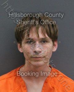NYGARD OSCAR ALEXANDER 06/11/2026 - Hillsborough County Mugshots Zone