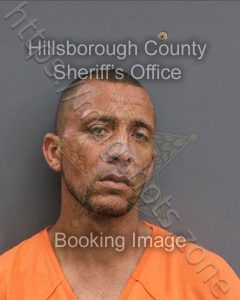 GUZMAN ANGEL 06/11/2026 - Hillsborough County Mugshots Zone