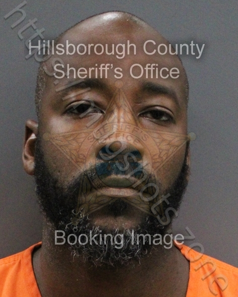 STEED AUSTIN KENNEDY JR 06/11/2026 - Hillsborough County Mugshots Zone