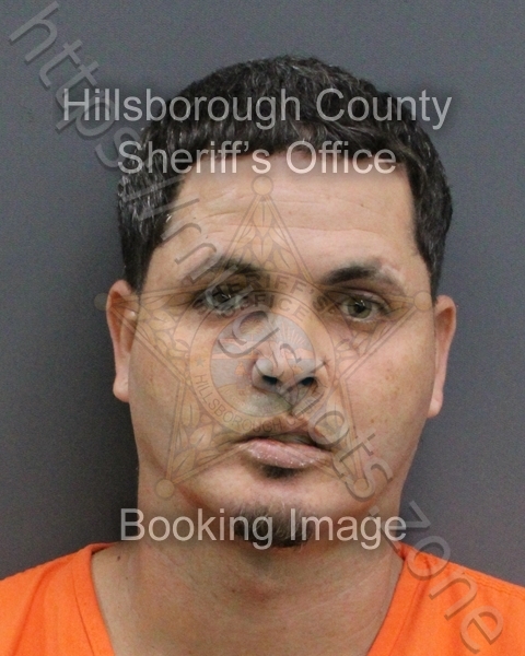 COSME ANDINO EMMANUEL 06/11/2026 - Hillsborough County Mugshots Zone