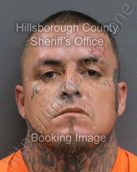 GRIMALDO ERIC 06/11/2026 - Hillsborough County Mugshots Zone