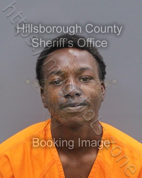 GRACE JASIER XAVIOR 06/12/2026 - Hillsborough County Mugshots Zone
