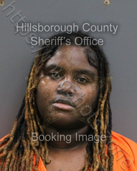 KINDER IESHA NAOMI 06/12/2026 - Hillsborough County Mugshots Zone