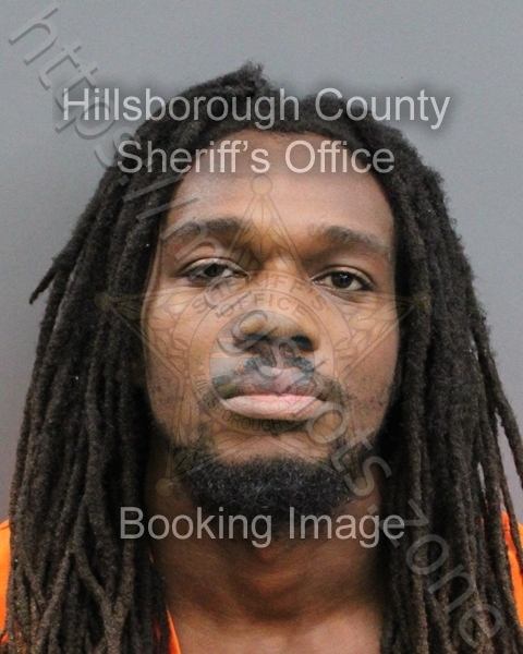 SINGLETON CHRISTOPHER IAN 06/13/2026 - Hillsborough County Mugshots Zone