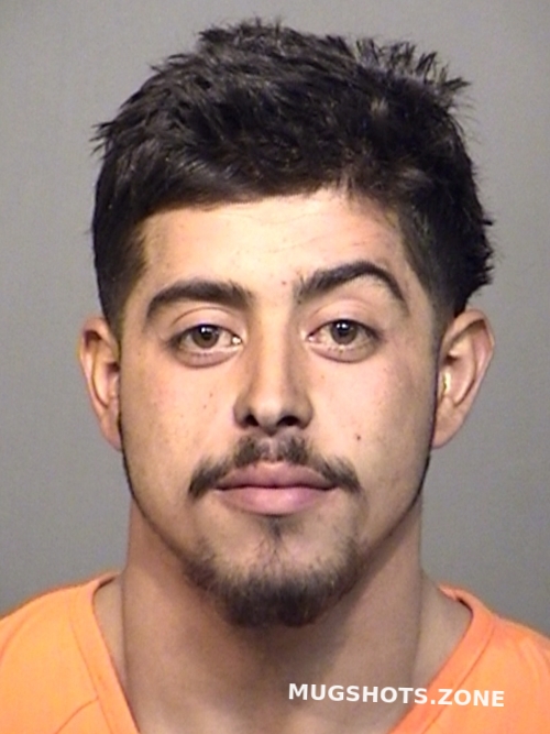 PAYAN MICHAEL 11/08/2021 - Hockley County Mugshots Zone