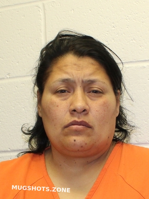 ADAME NANCY 06/22/2022 - Hockley County Mugshots Zone