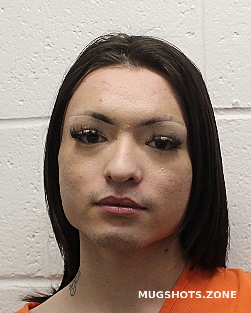 ADAM PATRICK BLAZE 02/04/2023 - Hockley County Mugshots Zone