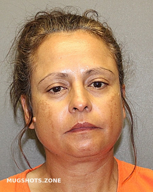 CANTU CORINA CASTRO 05/09/2024 - Hockley County Mugshots Zone