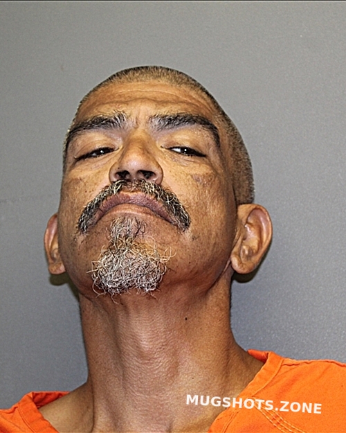 RODRIGUEZ MICHAEL PAUL 09/13/2024 - Hockley County Mugshots Zone