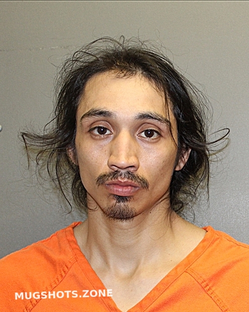 CHAGOYA JOE ANGEL 12/03/2024 - Hockley County Mugshots Zone