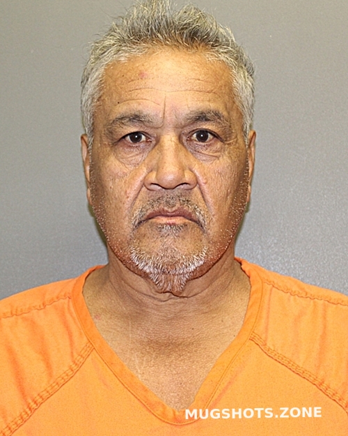 HERNANDEZ HECTOR 12/14/2024 - Hockley County Mugshots Zone