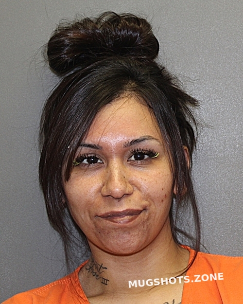CASTILLO CORA JUSTICE 01/09/2025 - Hockley County Mugshots Zone