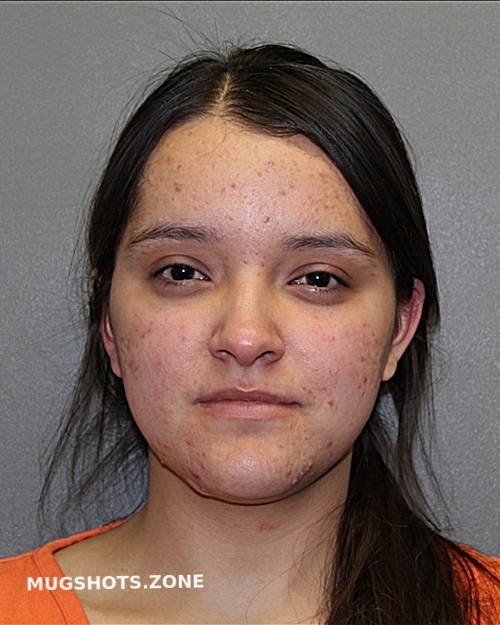 SANCHEZ ALILAH NICOLE 02/09/2025 - Hockley County Mugshots Zone