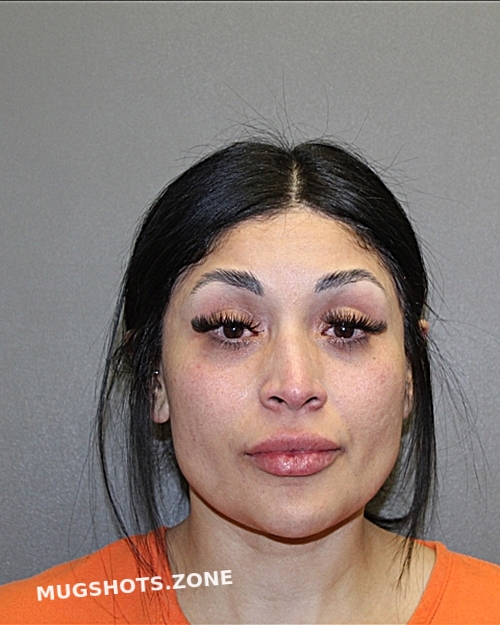 REYES MICHELLE 03/21/2025 - Hockley County Mugshots Zone