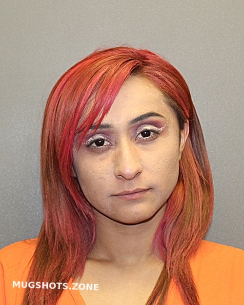 ALMAGAR AUBREY MICHELLE 06/02/2025 - Hockley County Mugshots Zone