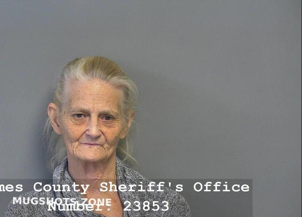 SAMPSEL RUTH ANNETTE 05/30/2023 - Holmes County Mugshots Zone