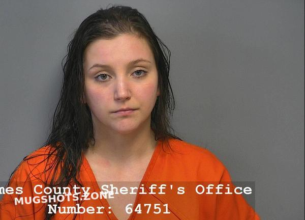 HIGGINS HAILEY MARIE 08/01/2023 - Holmes County Mugshots Zone