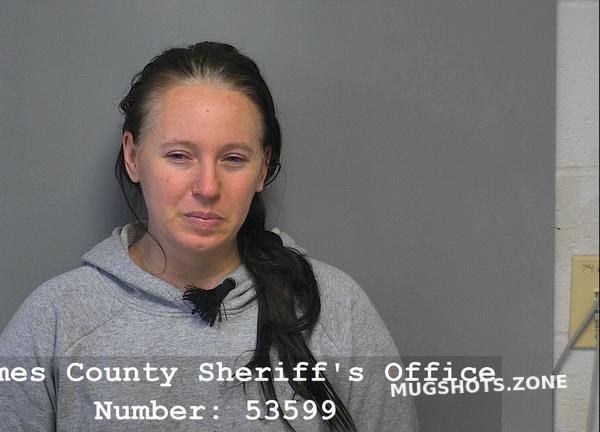 RABER TORI NICOLE 01/24/2025 - Holmes County Mugshots Zone