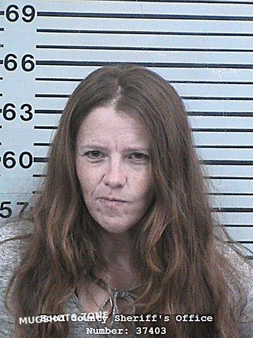MITCHELL MISTY GAYLE 01/07/2025 - Hood County Mugshots Zone