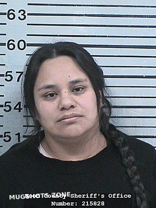 ROSAS VILLA CECILIA 01/10/2026 - Hood County Mugshots Zone