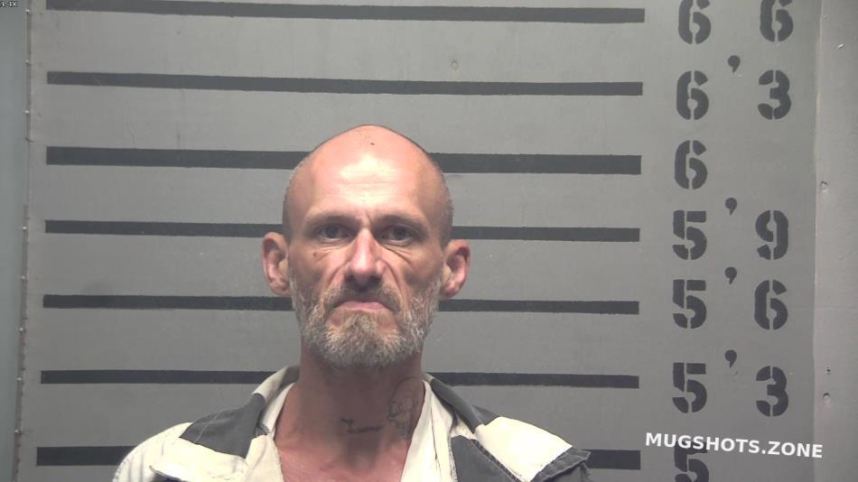 BASHAM WILLIAM TRAVIS 08/07/2022 - Hopkins County Mugshots Zone