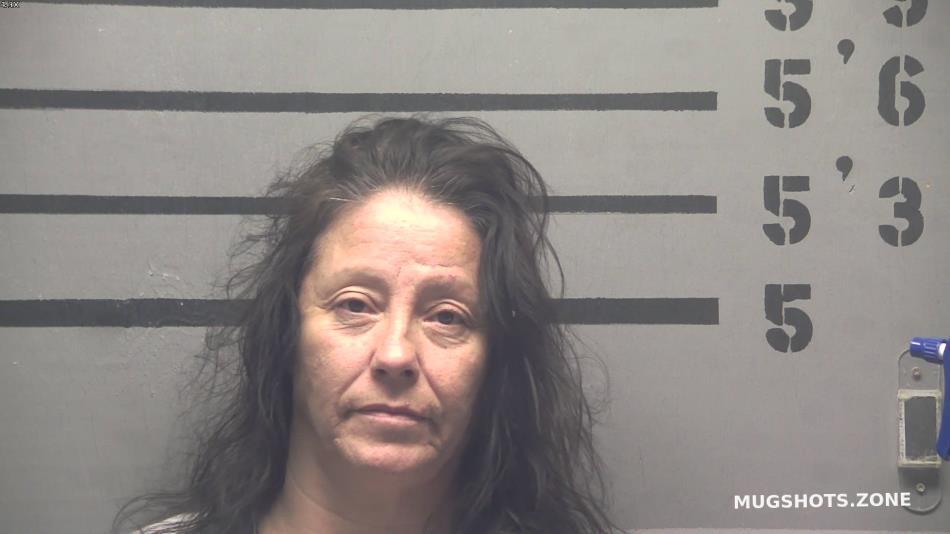 MCGUIRE REGINA RAE 02/06/2023 - Hopkins County Mugshots Zone