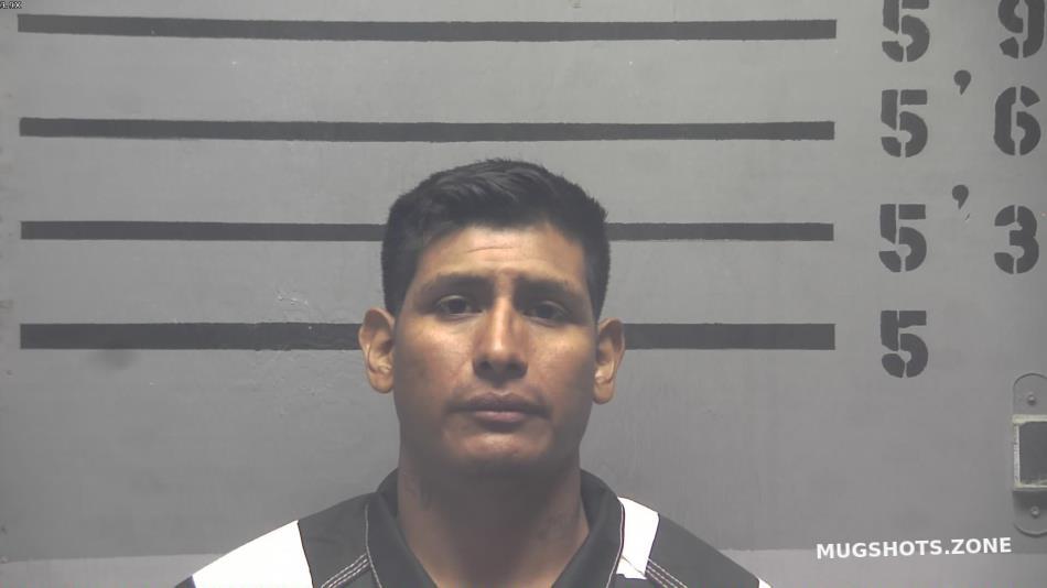 CAMPOS-GUARDIAN FRANCISCO NONE 05/08/2025 - Hopkins County Mugshots Zone