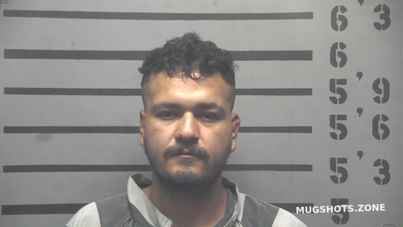 REYNA-NUNEZ ISRAEL . 08/18/2025 - Hopkins County Mugshots Zone