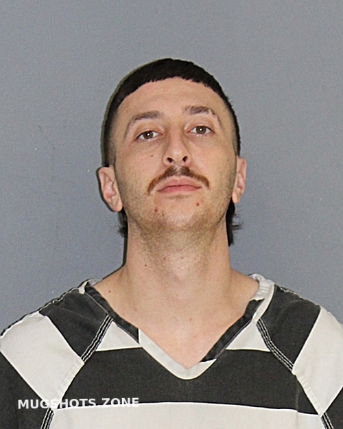 AFSHARI ALEXANDER ANTHONY 03/14/2025 - Hopkins County Mugshots Zone