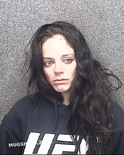 COOK ALEXIS NICOLE 03/07/2021 - Horry County Mugshots Zone