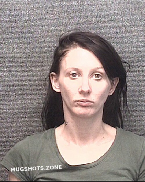 STEINBERG HALEY CHRISTINE 11/10/2021 - Horry County Mugshots Zone