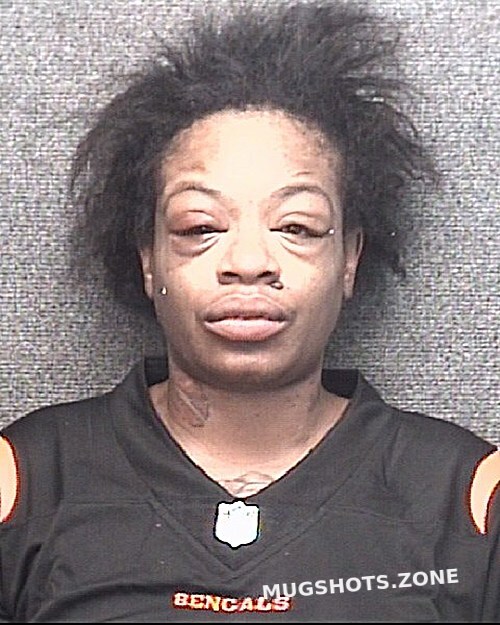 HAYES CANDICE YVONNE 12/04/2021 - Horry County Mugshots Zone