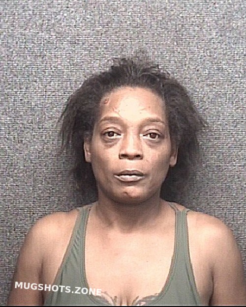Douglas Brenda Ann 02062022 Horry County Mugshots Zone