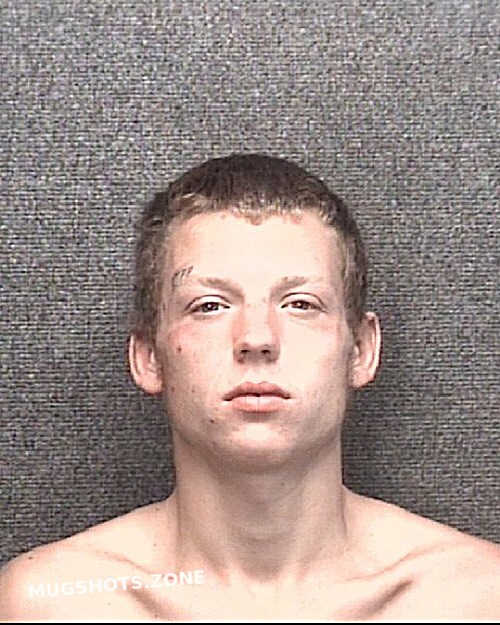 BRASWELL DAVID RYAN 04/18/2022 - Horry County Mugshots Zone