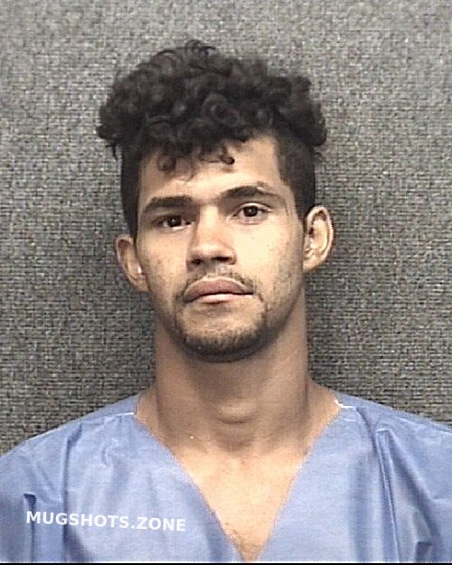 ALITA-MEJIA JERMAN ALBERTO 06/15/2022 - Horry County Mugshots Zone