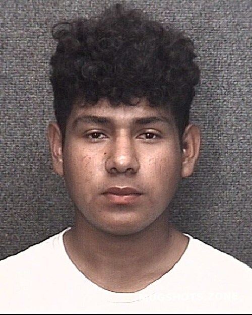 FLORES GONZALES MARBIN JOSUE 09/03/2022 - Horry County Mugshots Zone
