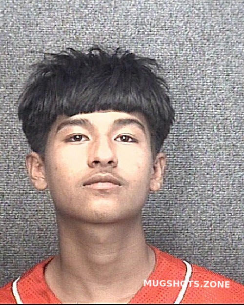 ZANORA JOSE 09/04/2022 - Horry County Mugshots Zone