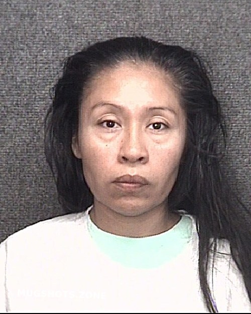 SALAZAR ZEPEDA MARIA ANTONIA 09/15/2022 - Horry County Mugshots Zone