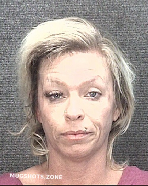 FRANKS JAMIE GAIL 09/23/2022 - Horry County Mugshots Zone