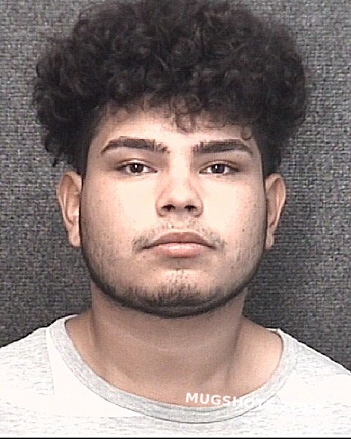 FAJARDO JOSUE EMMANUEL 11/12/2022 - Horry County Mugshots Zone