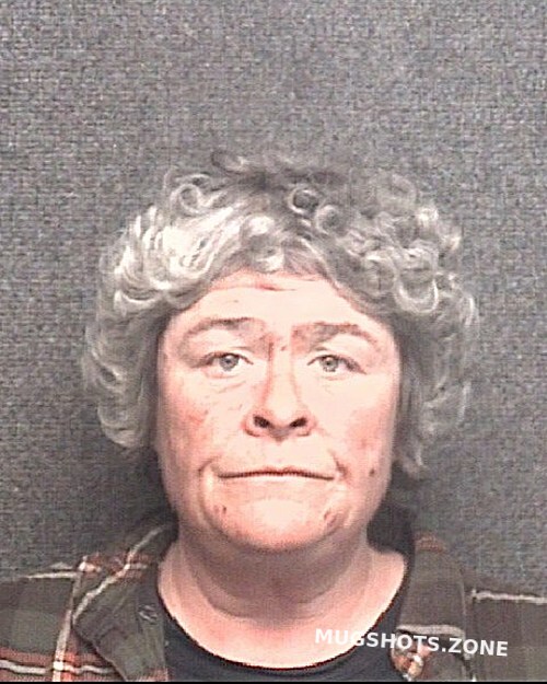 Hensley Jennifer Lynn 12 02 2022 Horry County Mugshots Zone