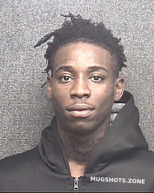 PAGE SEAN LOUIS 01/12/2023 - Horry County Mugshots Zone