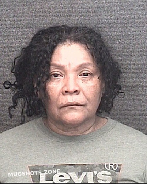 SOZA MIRNA 01/26/2023 - Horry County Mugshots Zone