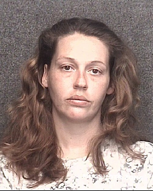 Viscogliosi Laura 03 01 2023 Horry County Mugshots Zone