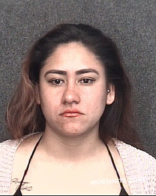 GUZMAN PIMENTEL BRENDA JARITH 03/18/2023 - Horry County Mugshots Zone