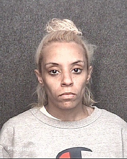 SWANK DESTINY DALE 03/21/2023 - Horry County Mugshots Zone